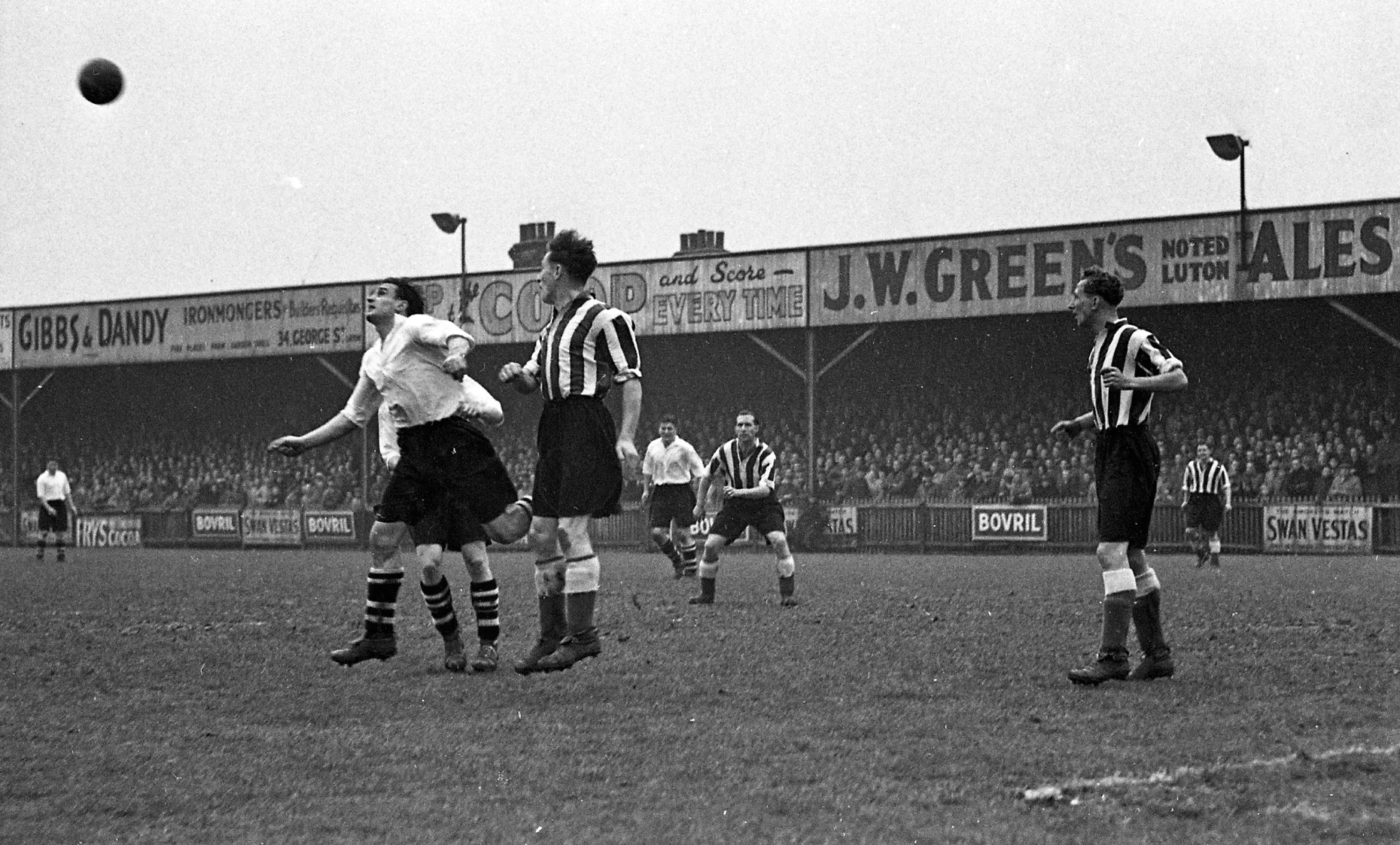 Willie Havenga | Hatters Heritage | A History of Luton Town FC