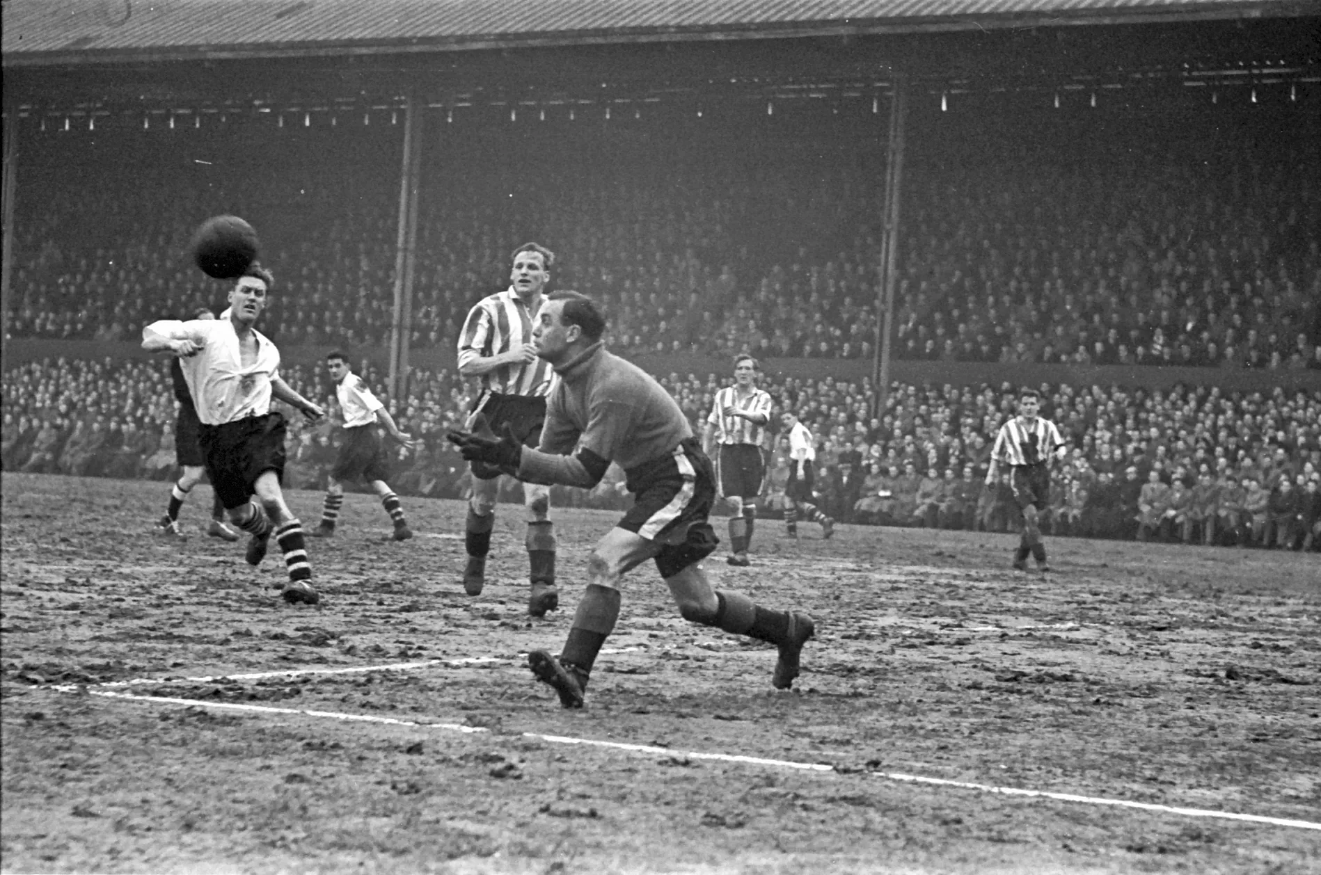 Brentford vs Luton Town FC (6th Feb 1952) | Hatters Heritage | A ...