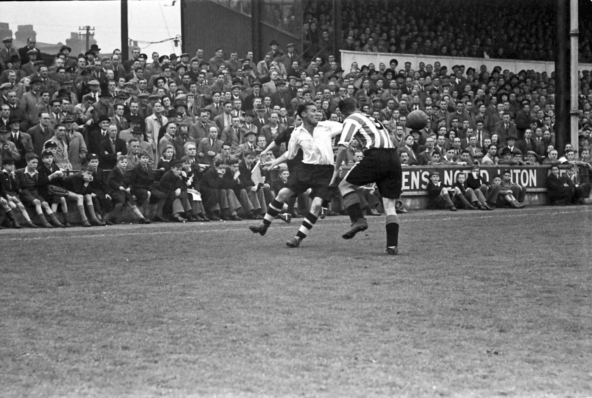 Roy Davies | Hatters Heritage | A History of Luton Town FC