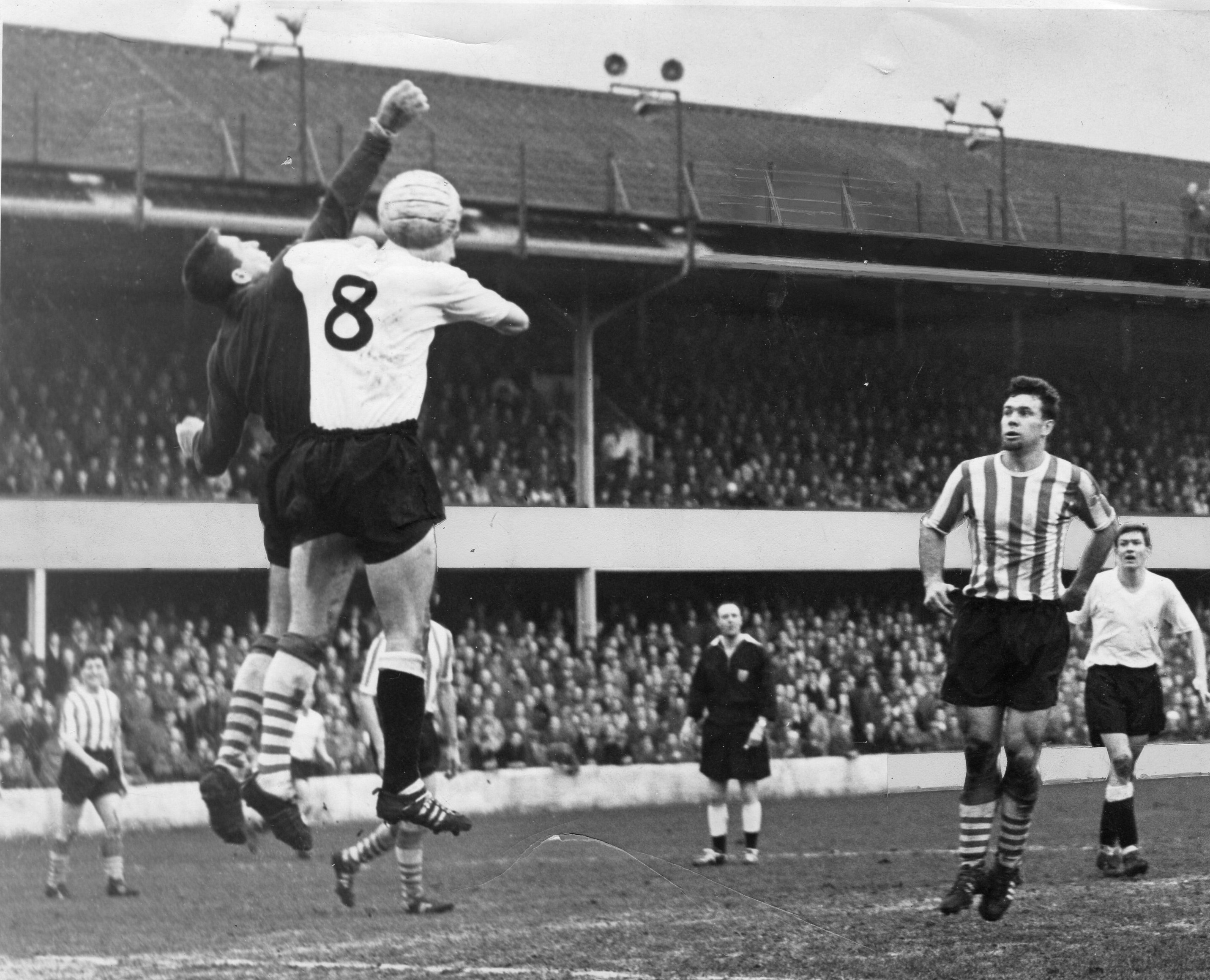 Fred Jardine | Hatters Heritage | A History of Luton Town FC