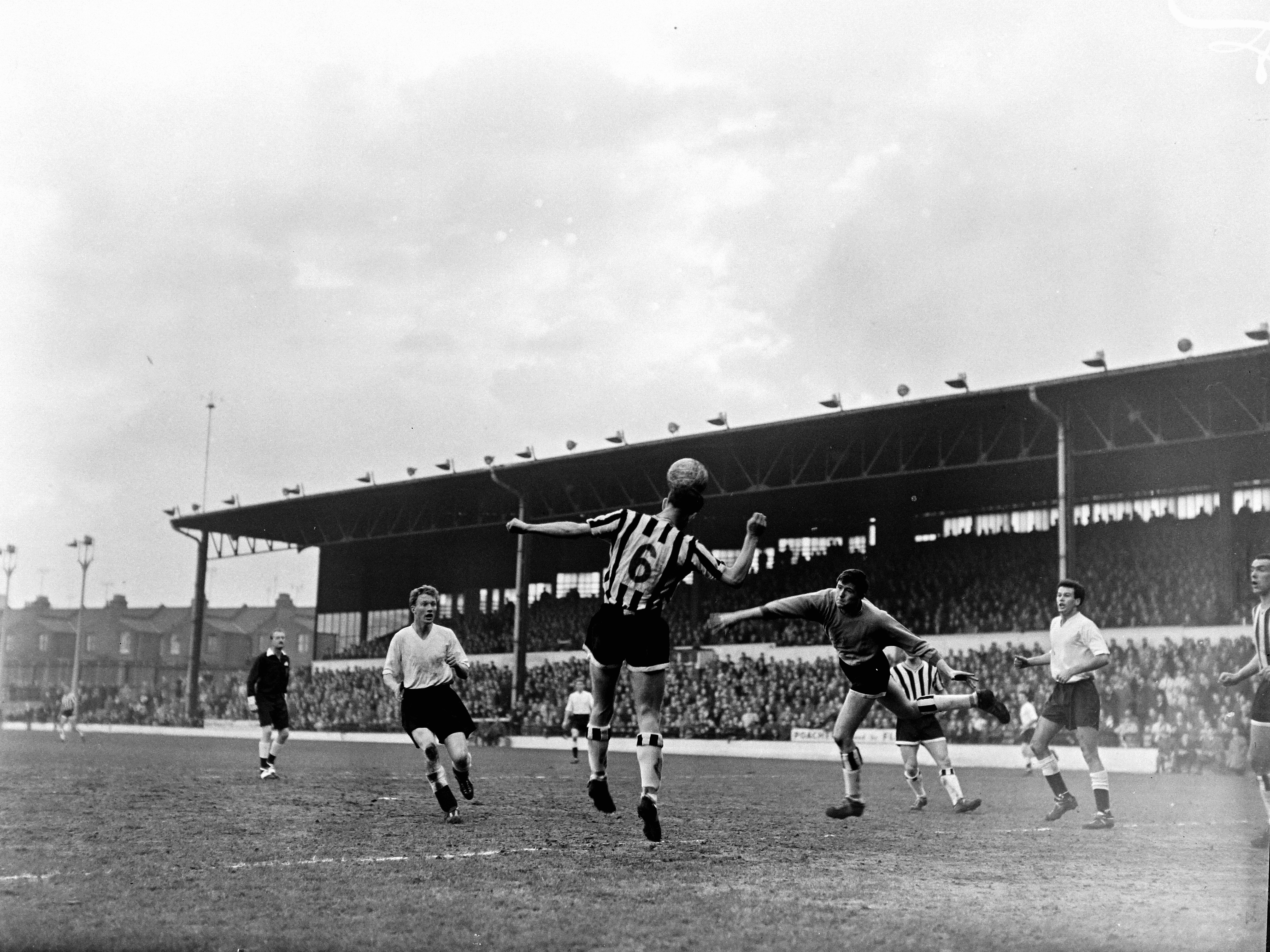 Mark Lownds | Hatters Heritage | A History of Luton Town FC