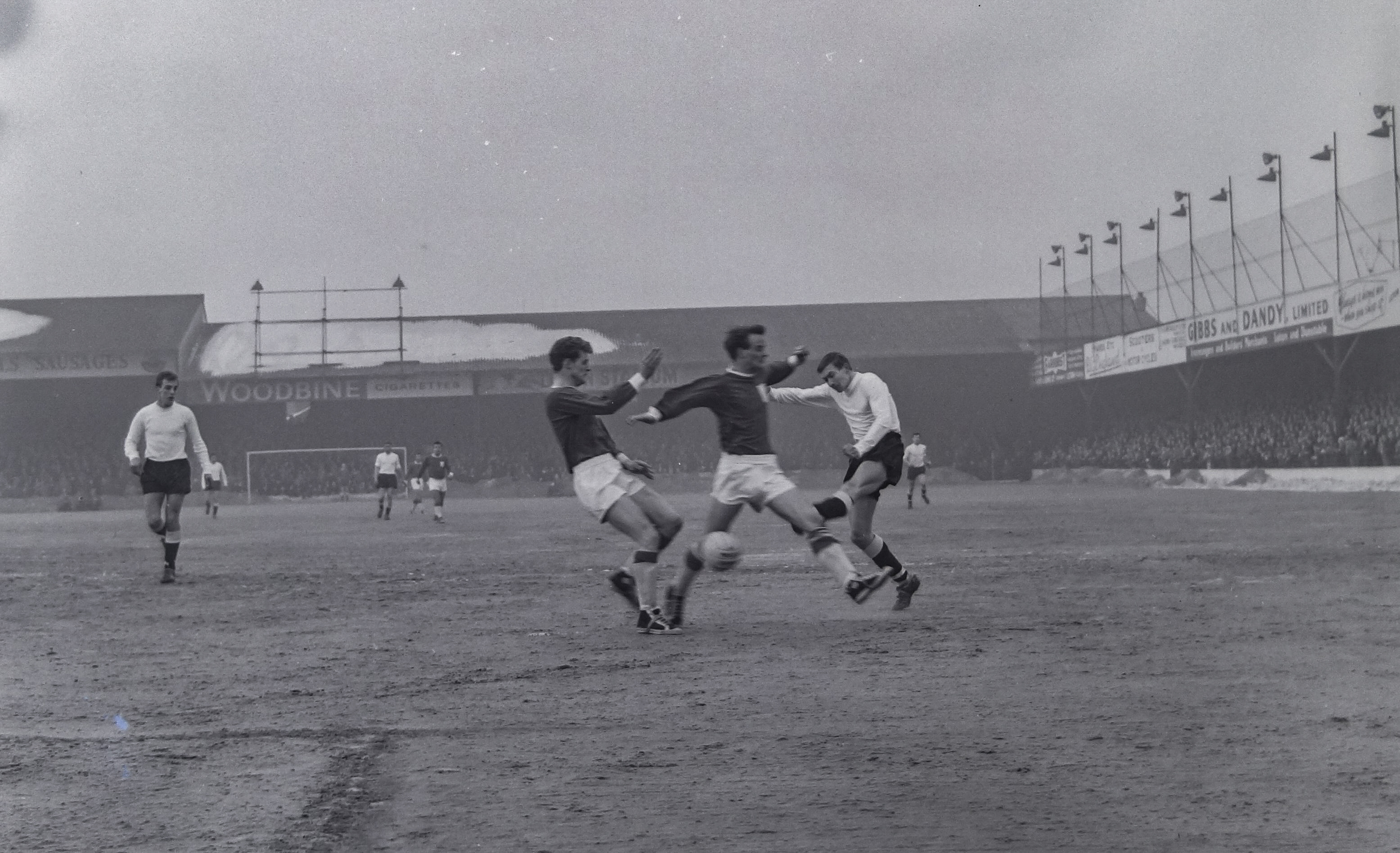 Fred Jardine | Hatters Heritage | A History of Luton Town FC