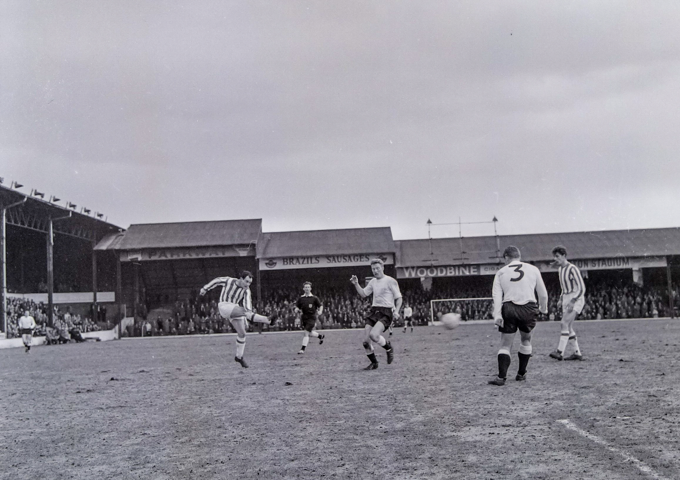 Alan Daniel | Hatters Heritage | A History of Luton Town FC
