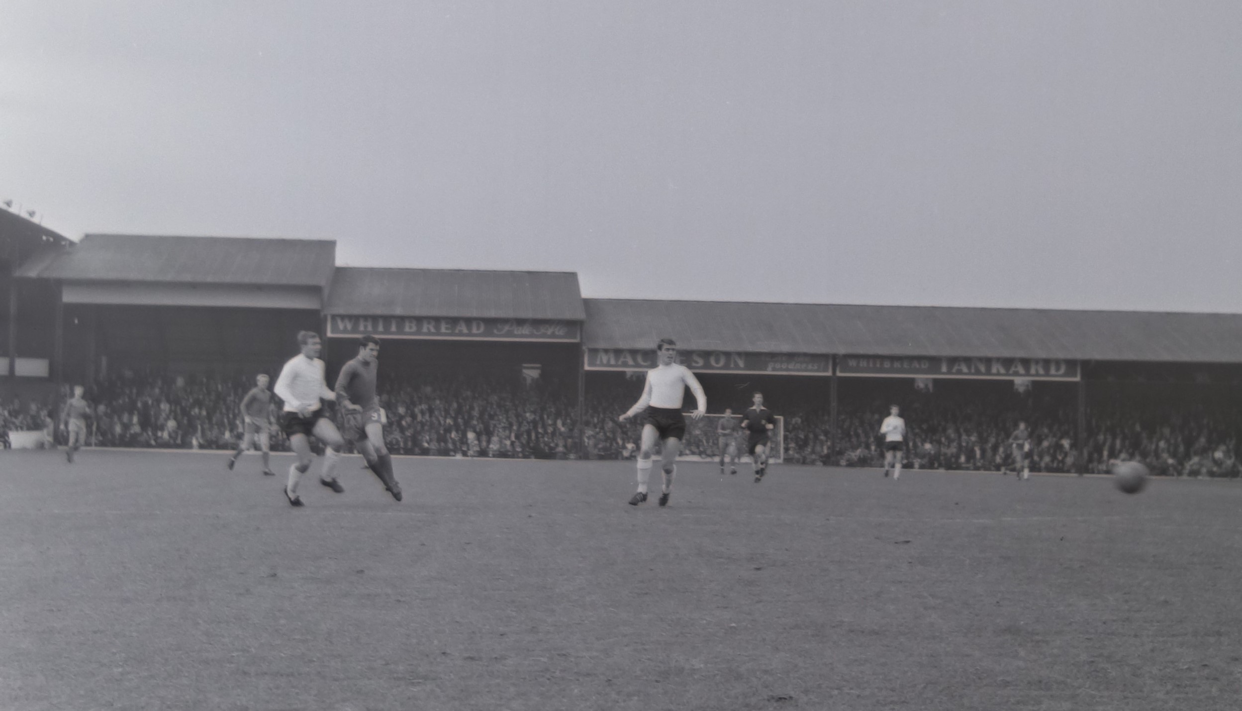 Fred Jardine | Hatters Heritage | A History of Luton Town FC
