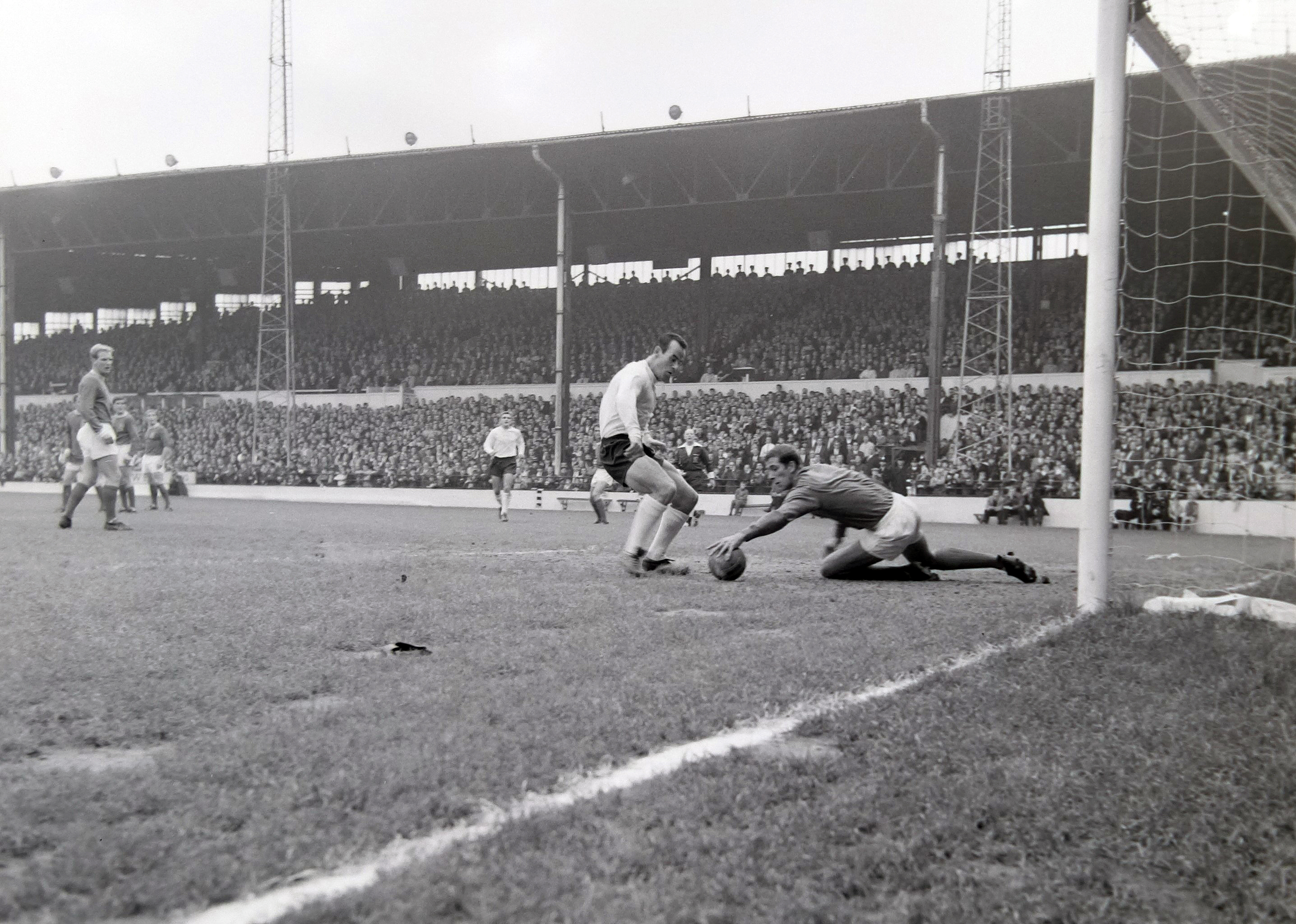 Laurie Sheffield | Hatters Heritage | A History of Luton Town FC
