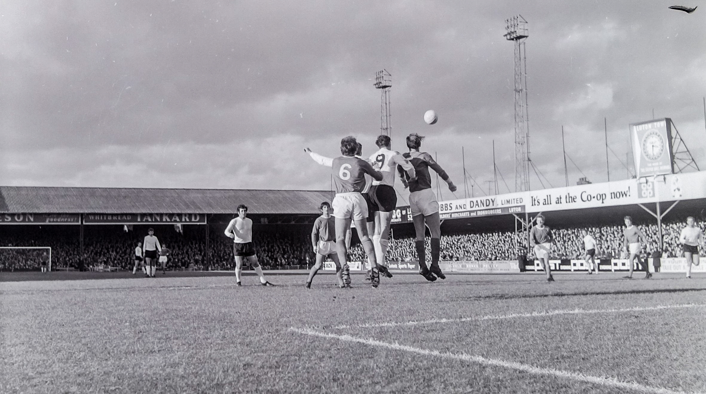 Matt Tees | Hatters Heritage | A History of Luton Town FC