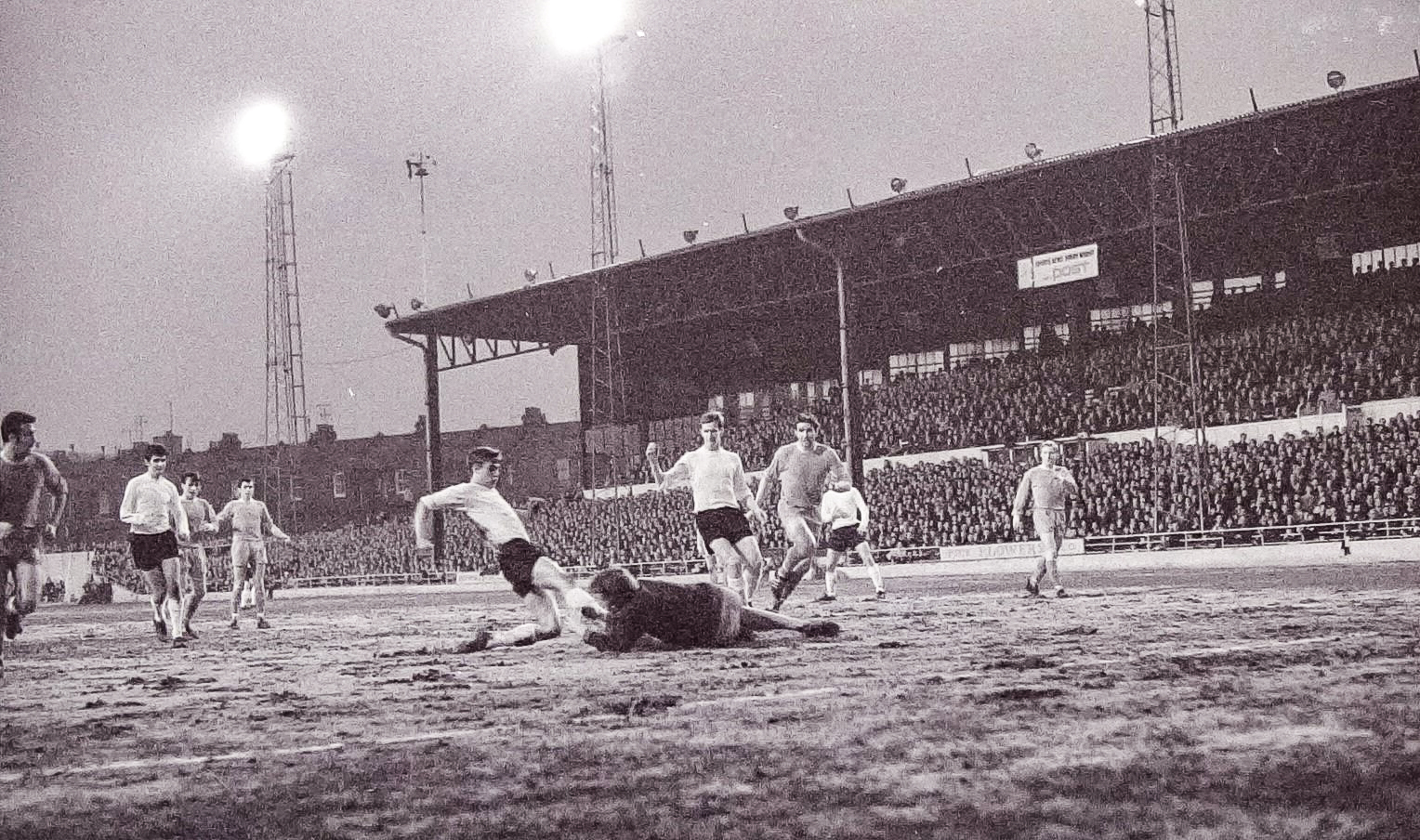 Viv Busby | Hatters Heritage | A History of Luton Town FC