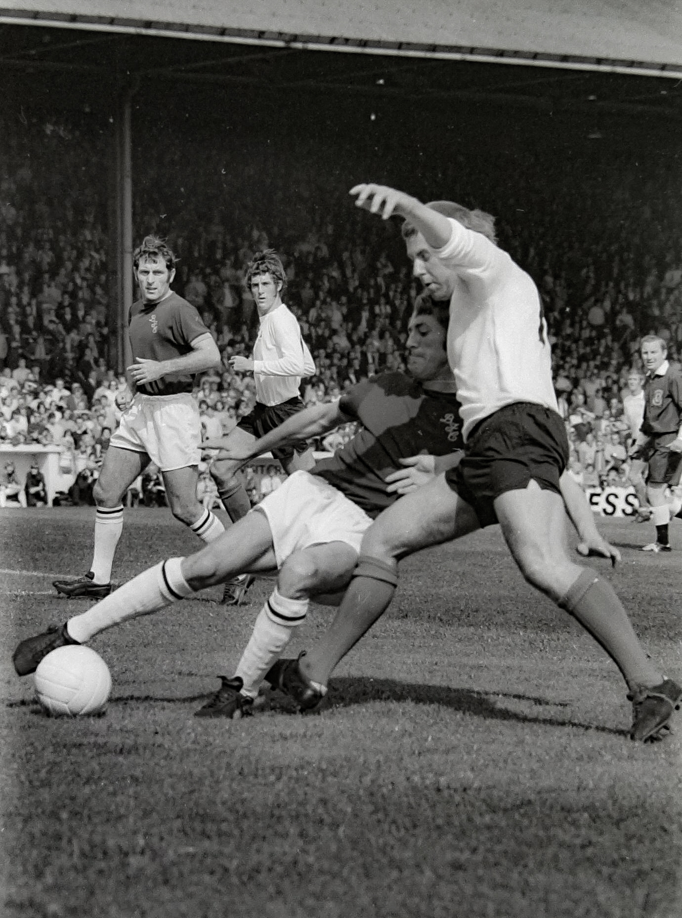 David Court | Hatters Heritage | A History of Luton Town FC
