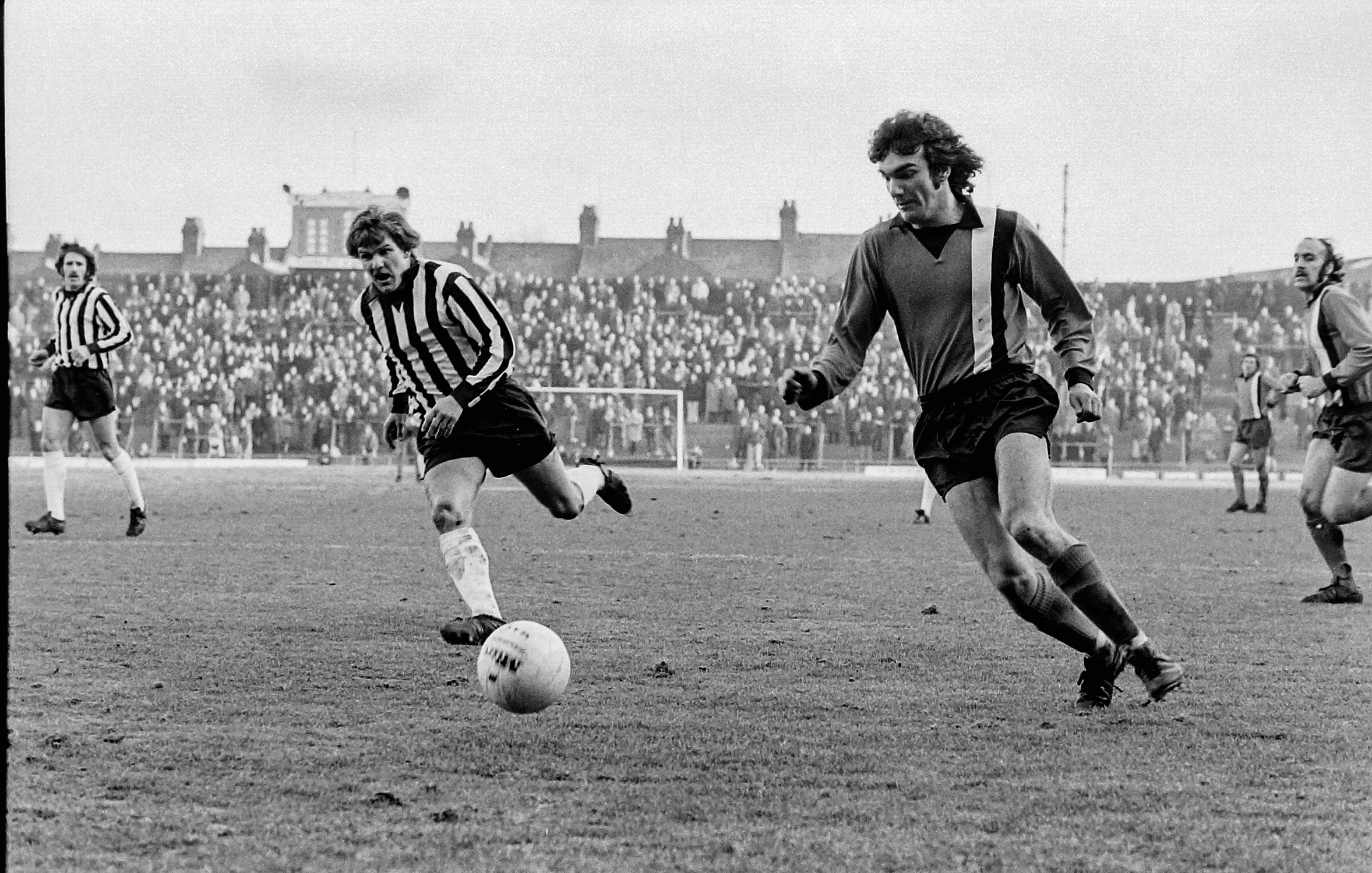 Beyond Kenilworth Road: The Legacy of Peter Anderson | by Joseph Press ...