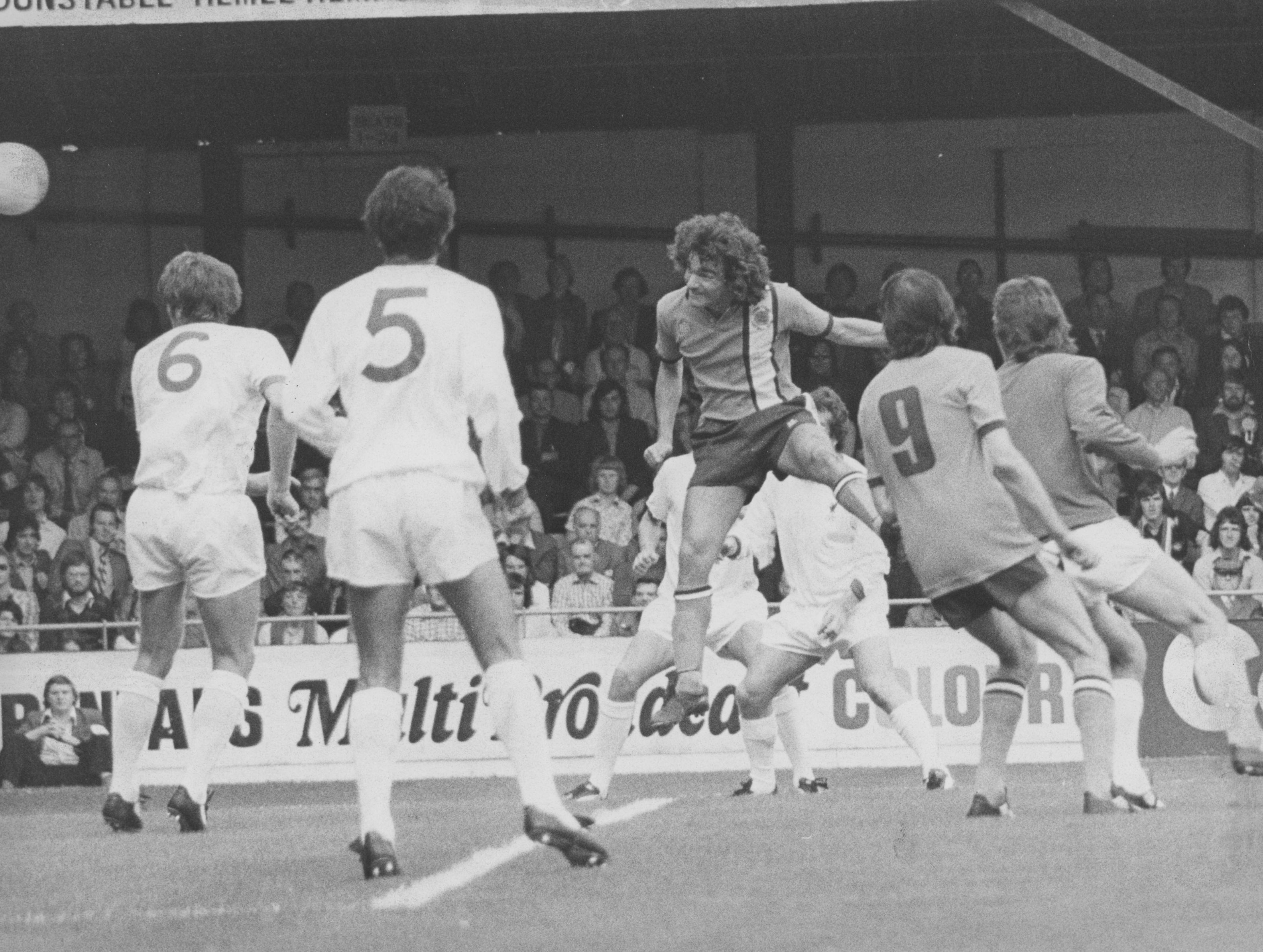 Beyond Kenilworth Road: The Legacy of Peter Anderson | by Joseph Press ...