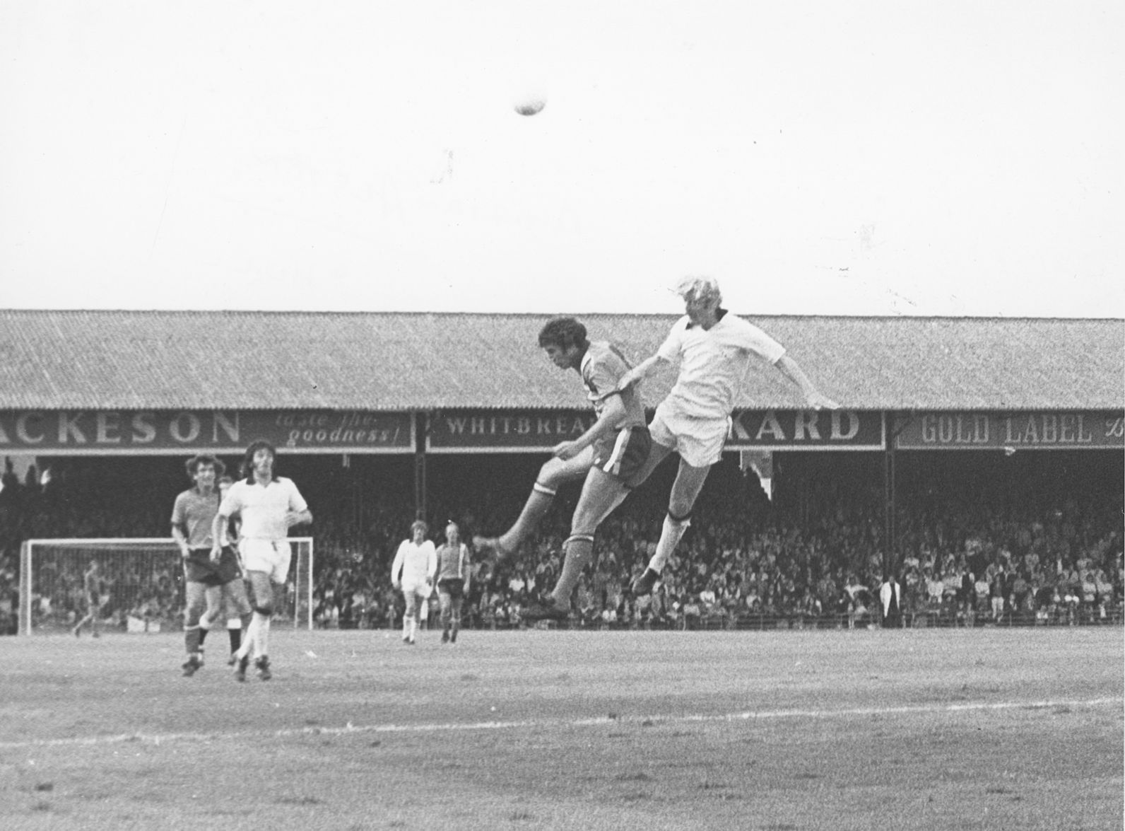 Adrian Alston | Hatters Heritage | A History of Luton Town FC