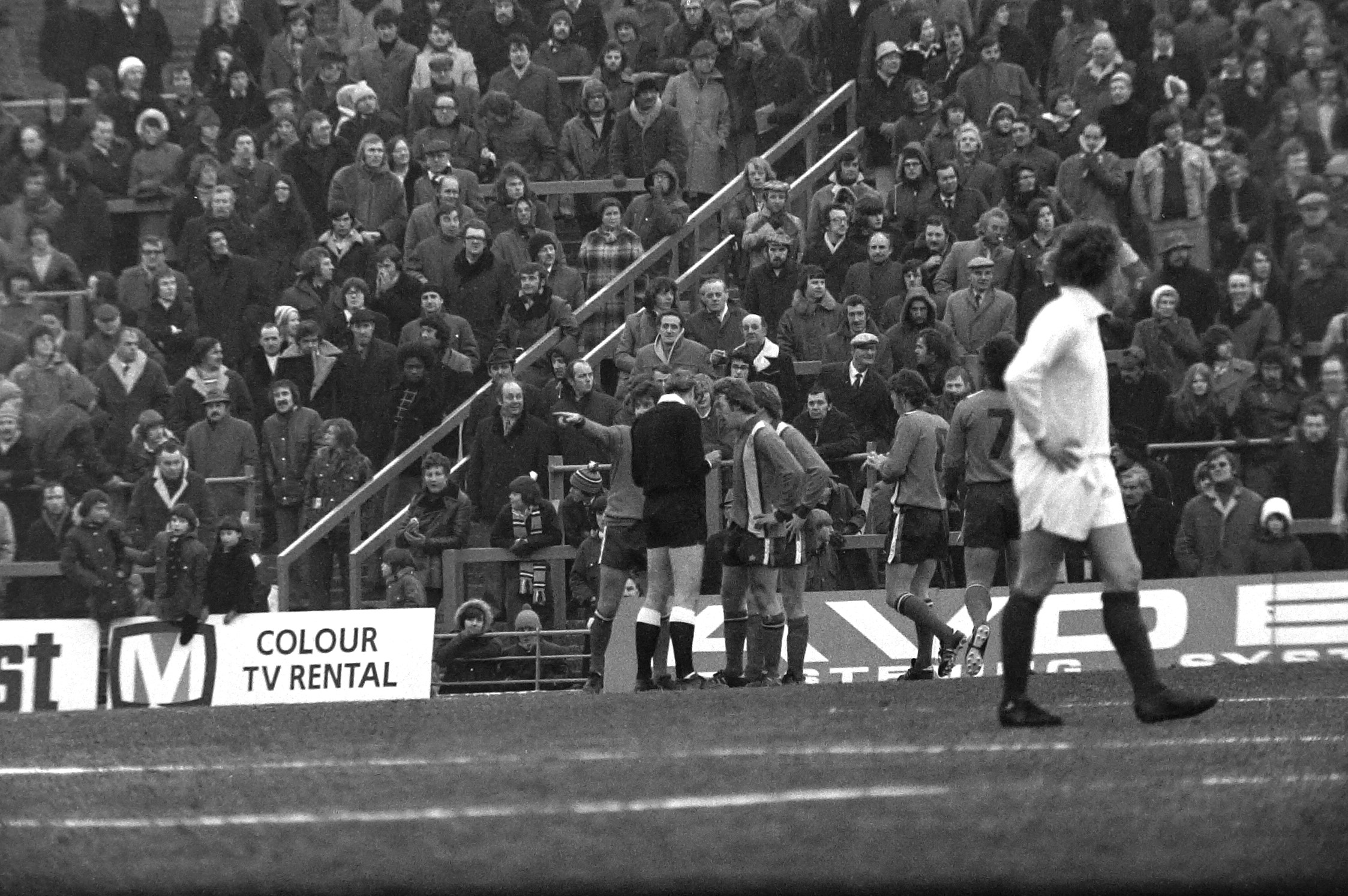 Steve Buckley | Hatters Heritage | A History of Luton Town FC