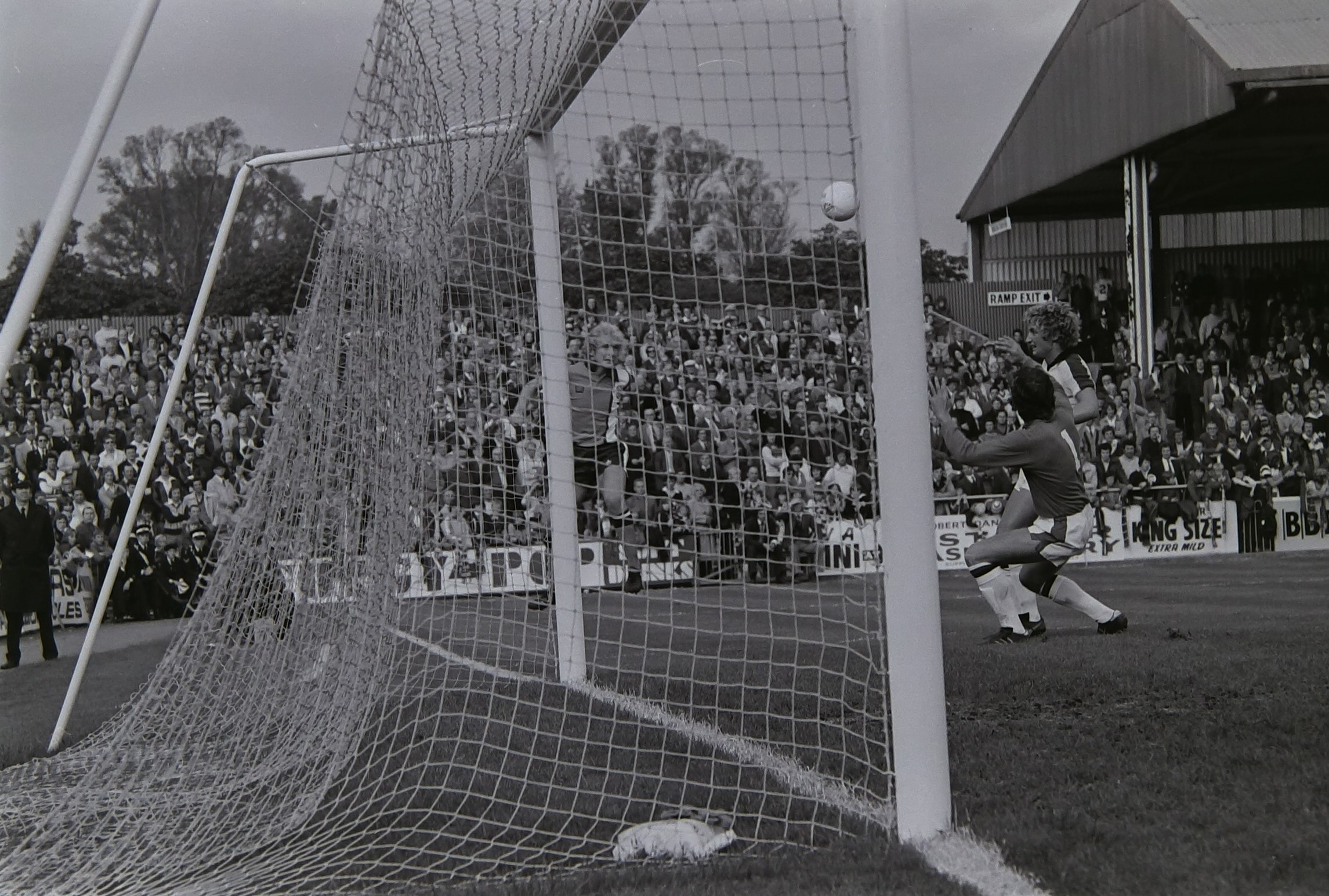 Plymouth Argyle vs Luton Town FC (2nd Oct 1976) | Hatters Heritage | A ...