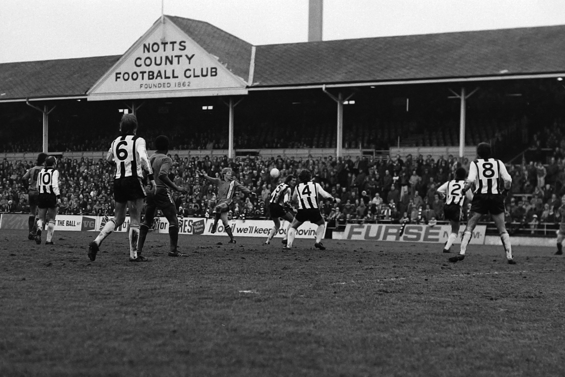 Dave Carr | Hatters Heritage | A History of Luton Town FC