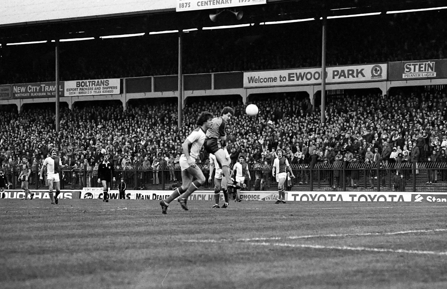 Steve White | Hatters Heritage | A History of Luton Town FC