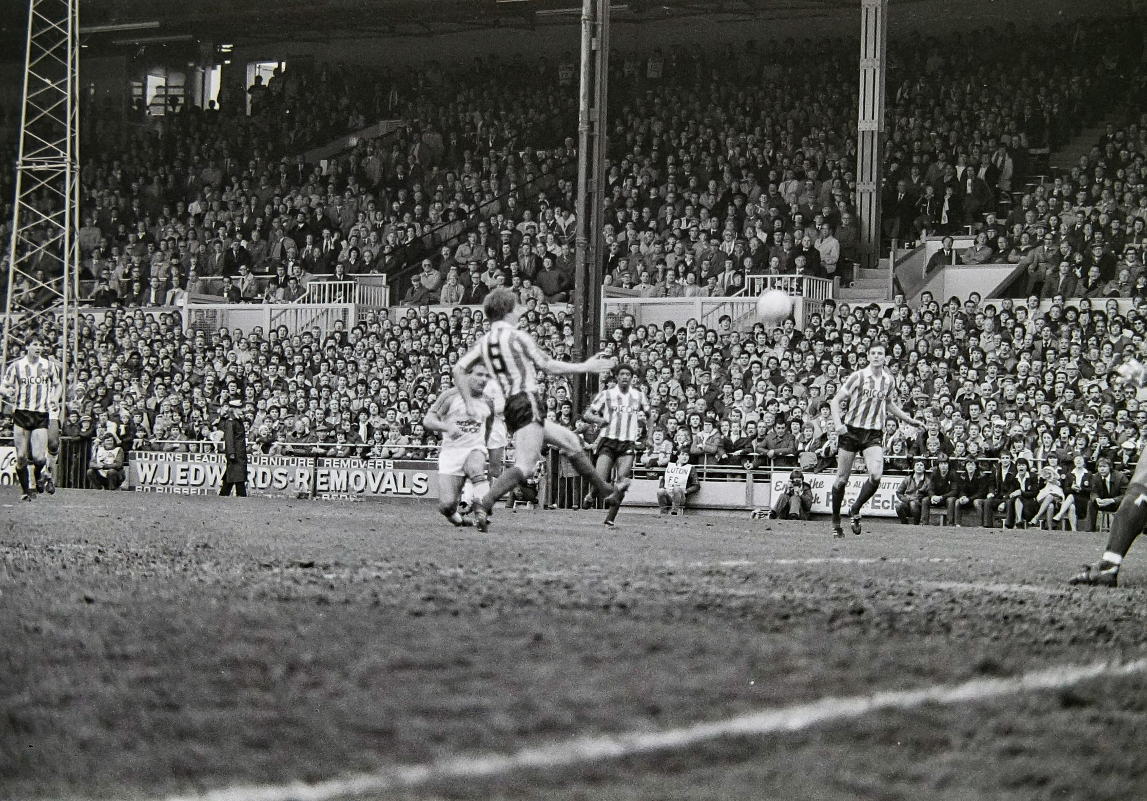 Wayne Turner | Hatters Heritage | A History of Luton Town FC