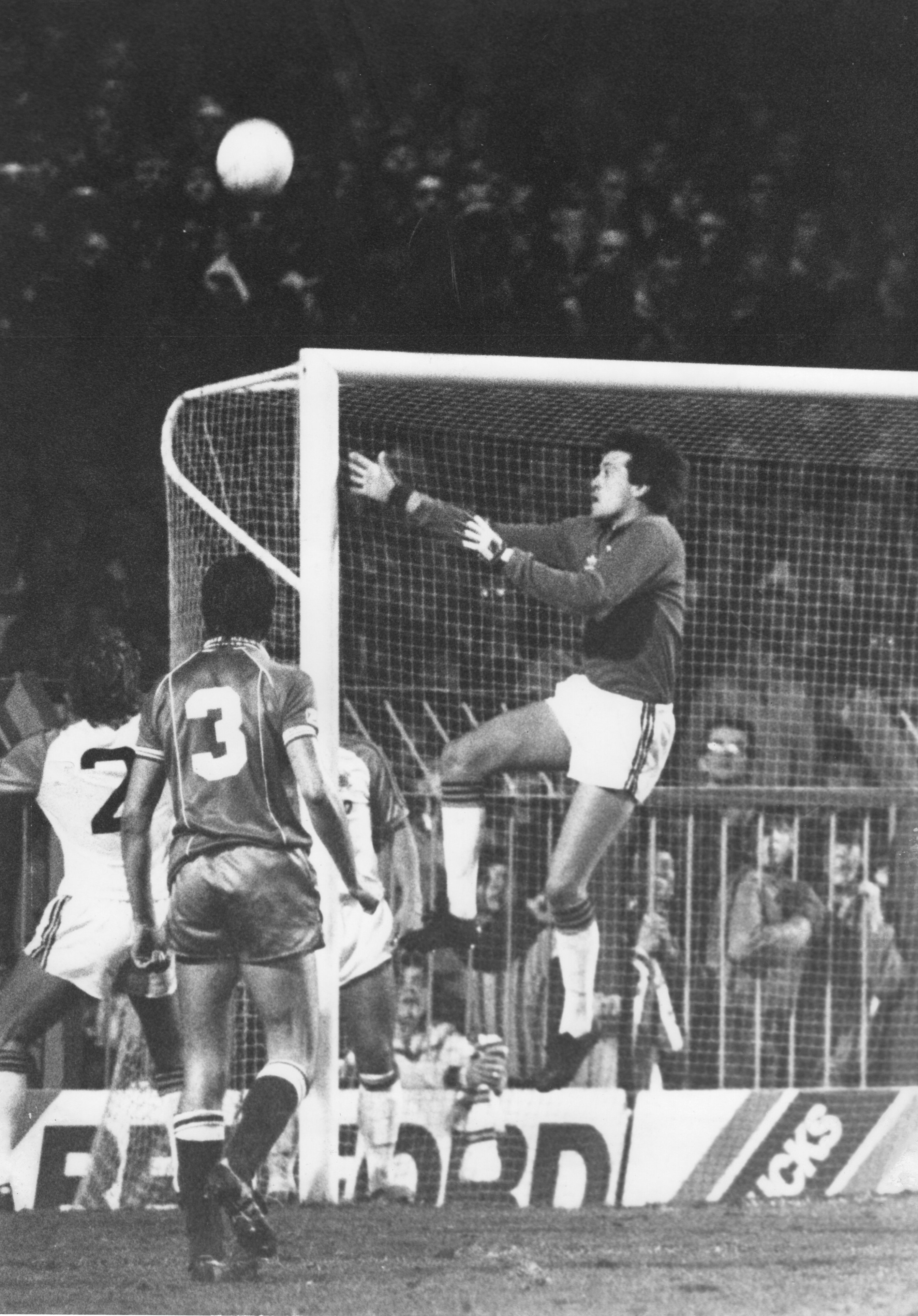 Les Sealey | Hatters Heritage | A History of Luton Town FC