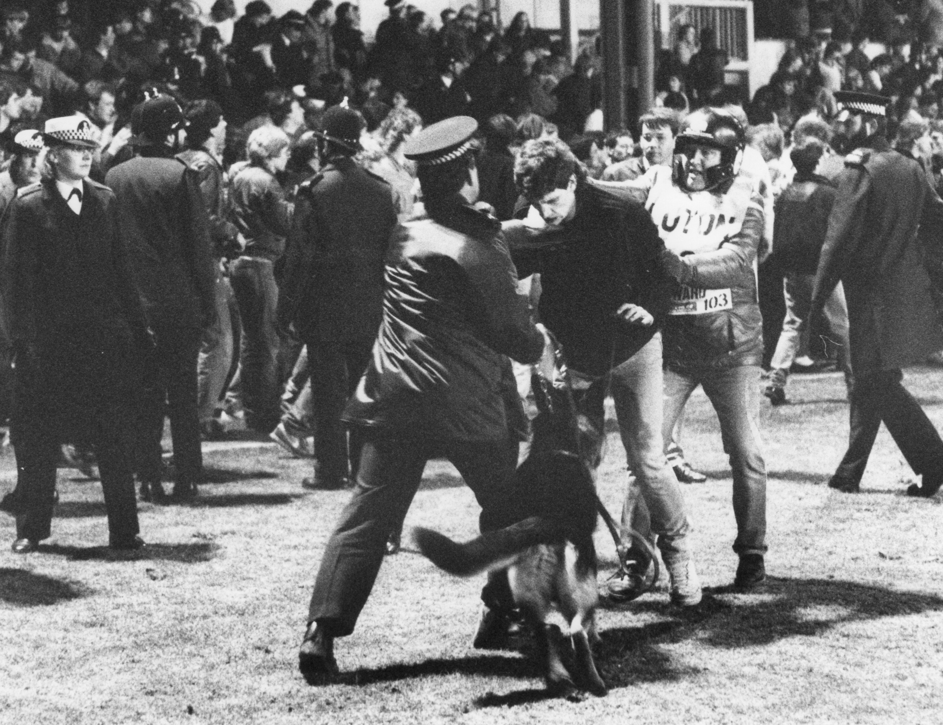 Luton Town FC vs Millwall (13th Mar 1985) | Hatters Heritage | A ...