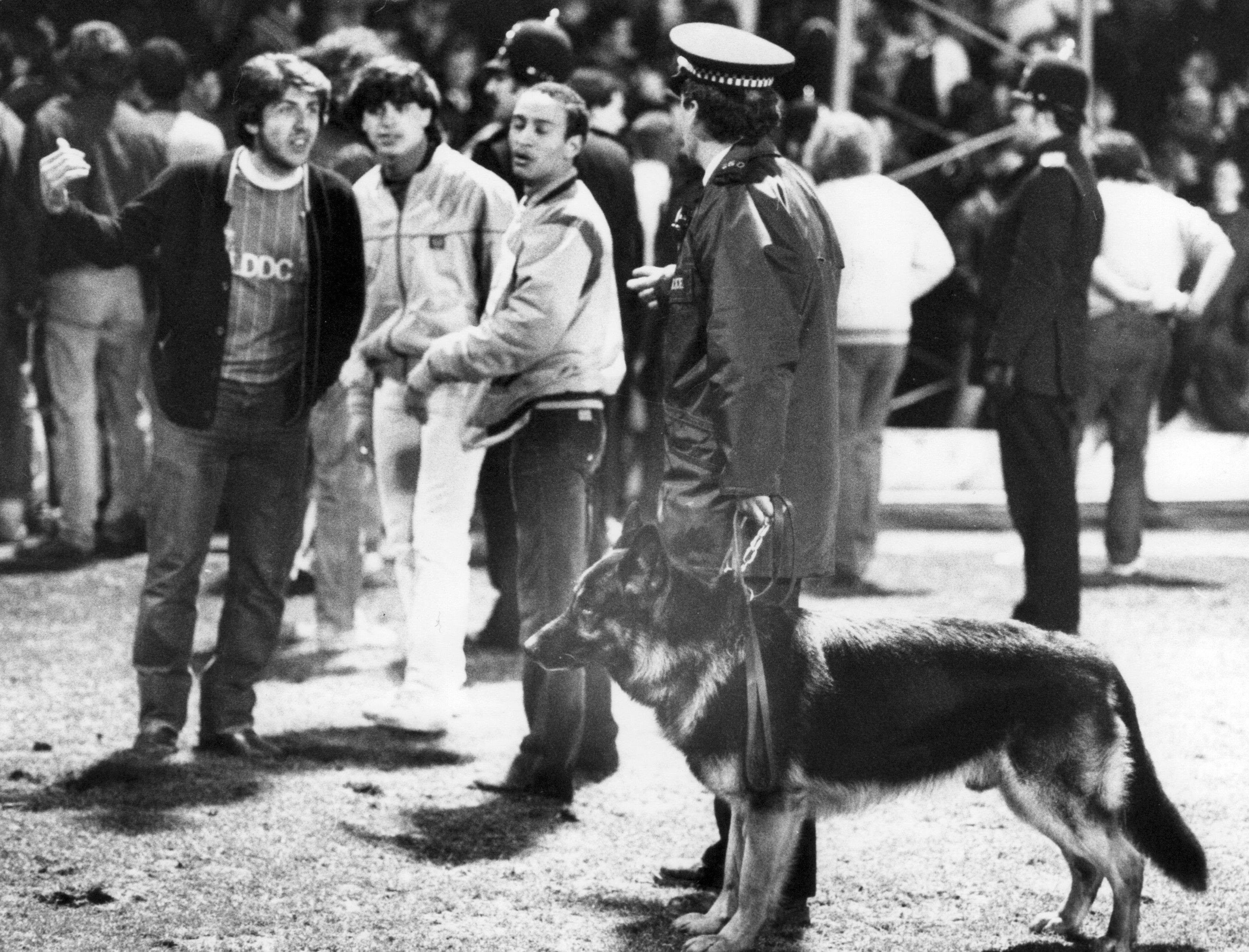 Luton Town FC vs Millwall (13th Mar 1985) | Hatters Heritage | A ...