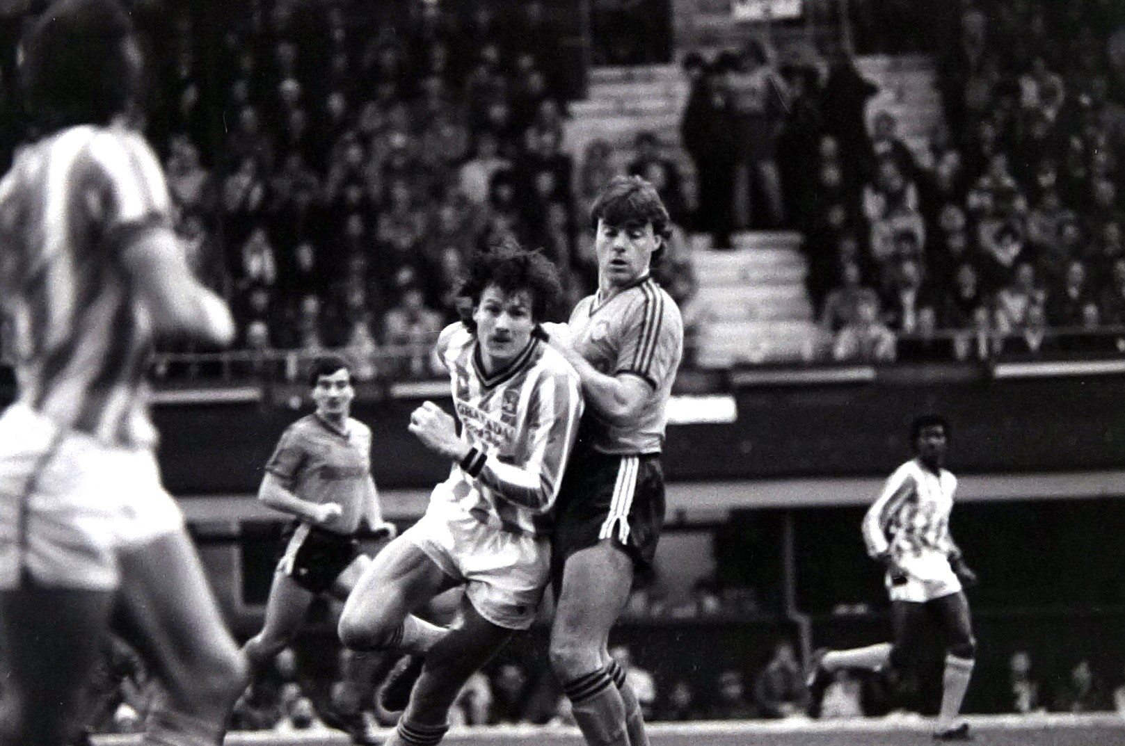 Mal Donaghy | Hatters Heritage | A History of Luton Town FC