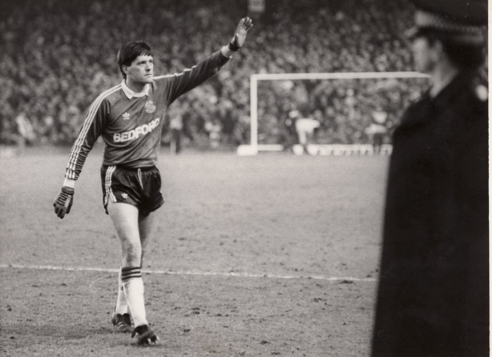 Les Sealey | Hatters Heritage | A History of Luton Town FC