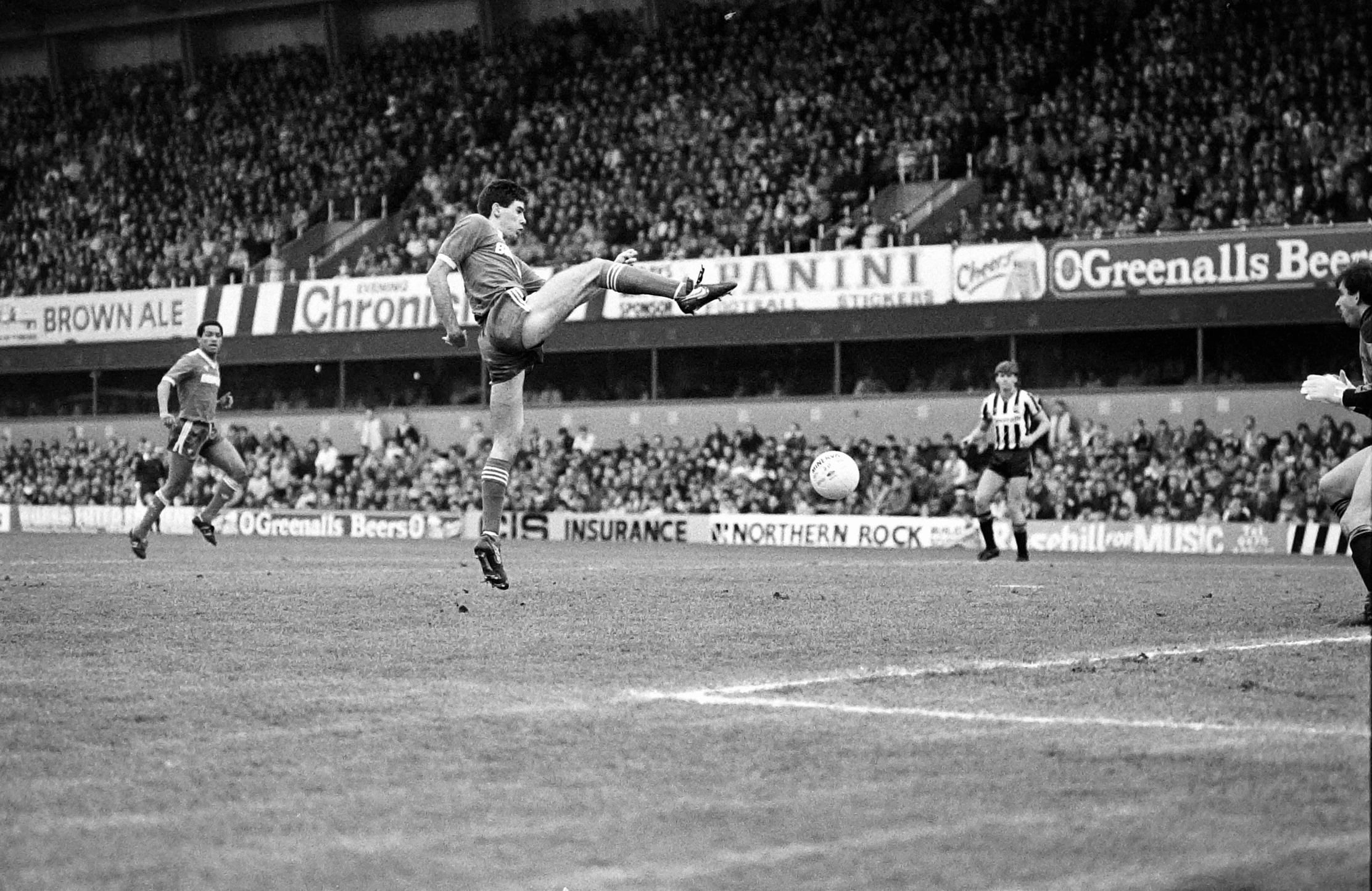 Mike Newell | Hatters Heritage | A History of Luton Town FC