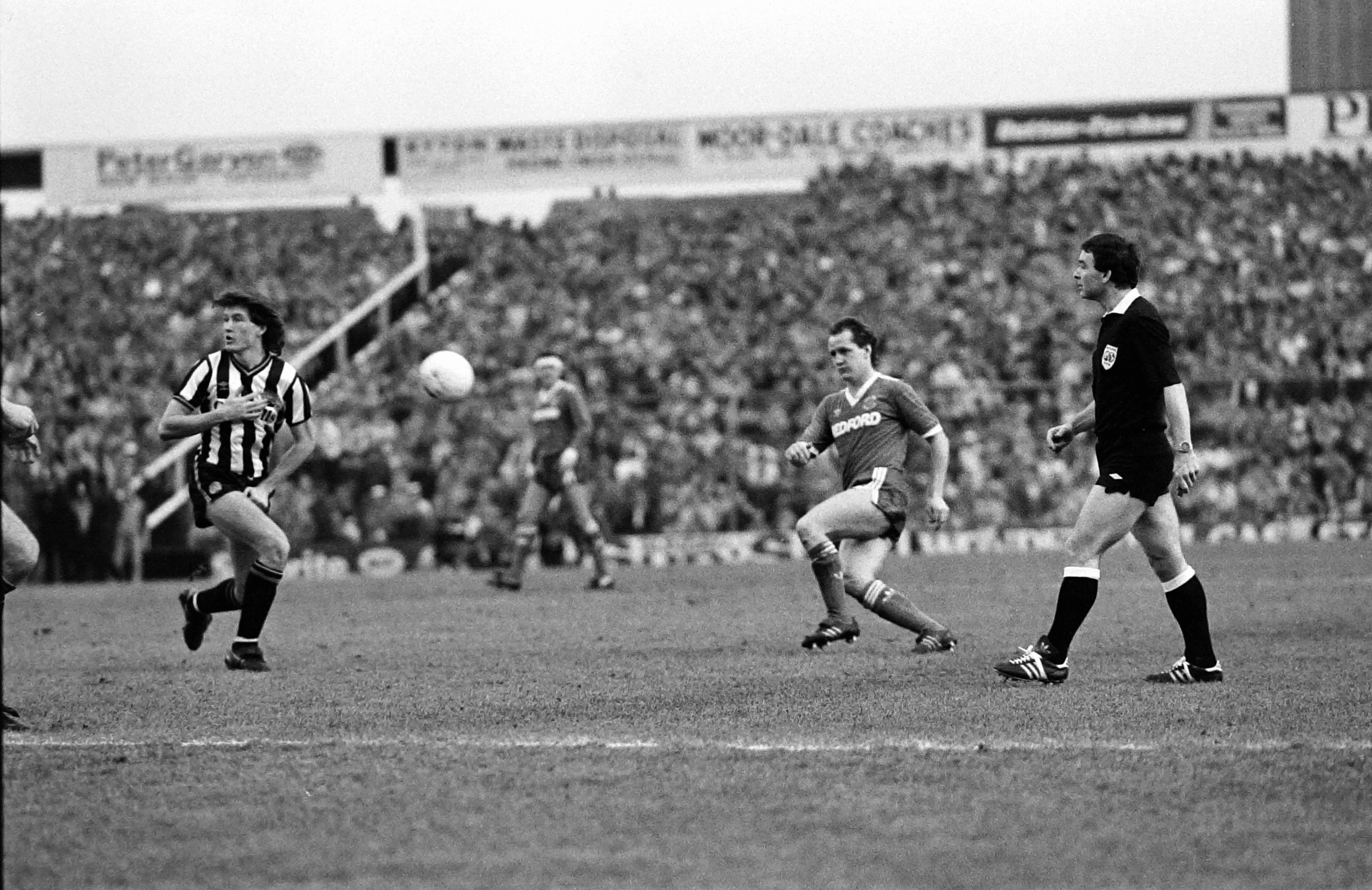 Peter Nicholas | Hatters Heritage | A History of Luton Town FC