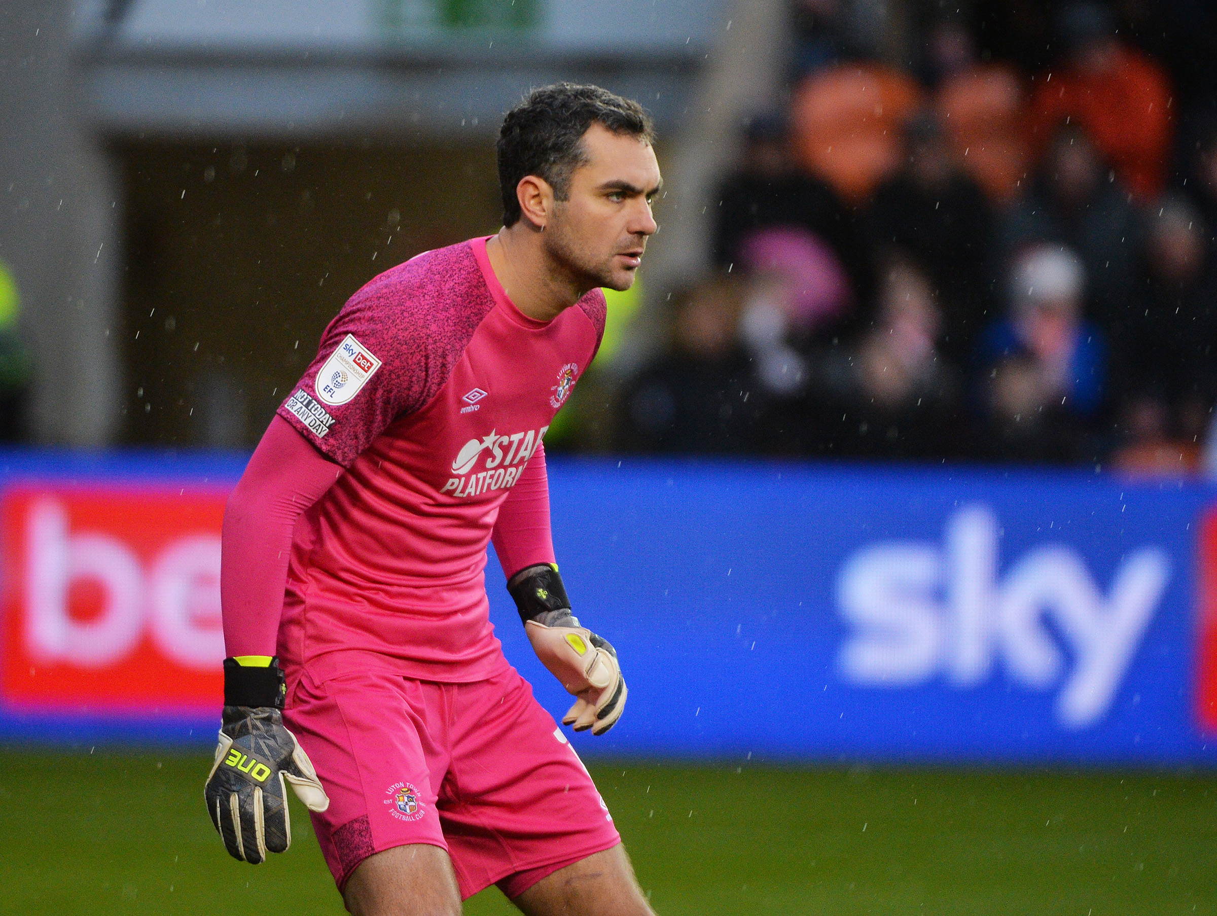 James Shea | Hatters Heritage | A History of Luton Town FC