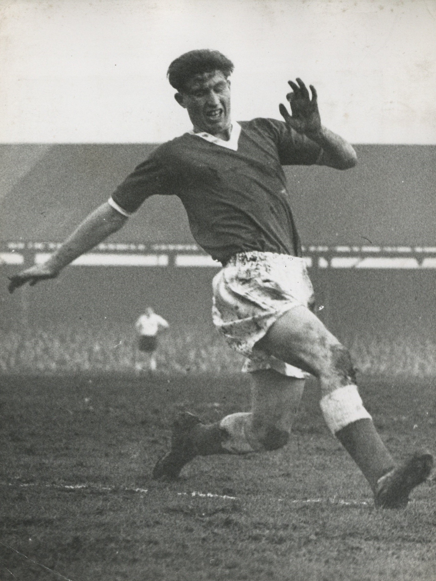 David Pacey | Hatters Heritage | A History of Luton Town FC