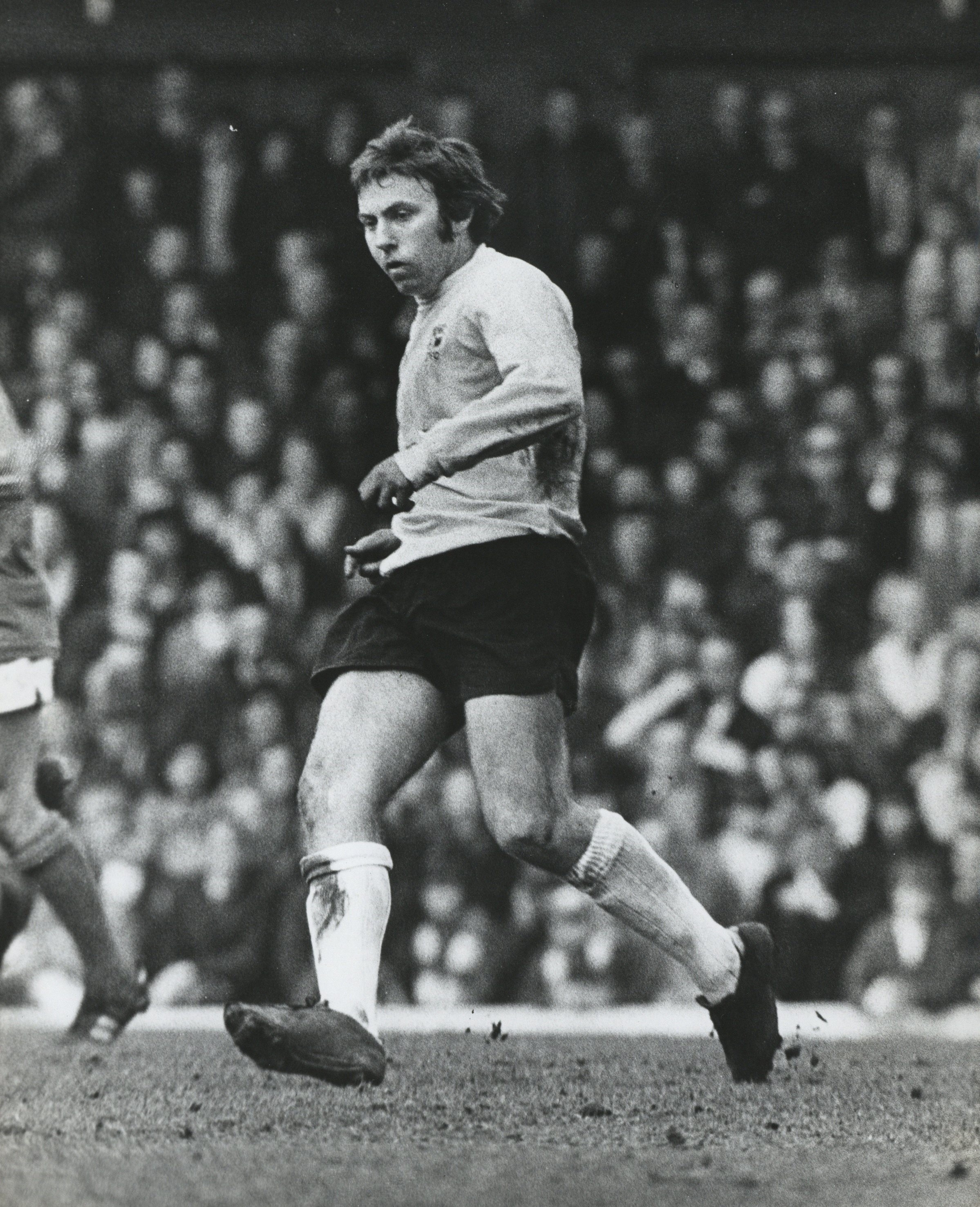 David Court | Hatters Heritage | A History of Luton Town FC