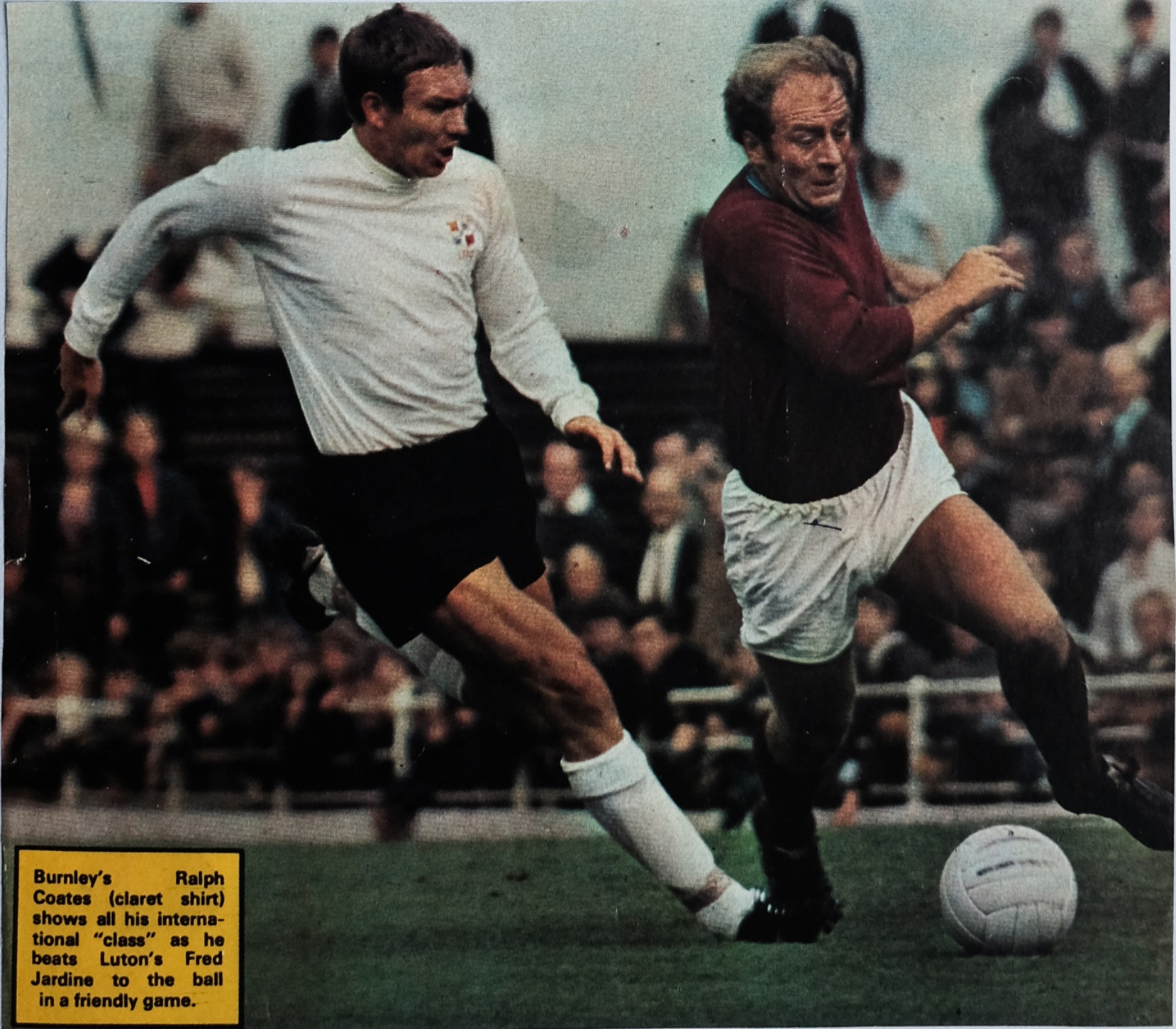 Fred Jardine | Hatters Heritage | A History of Luton Town FC