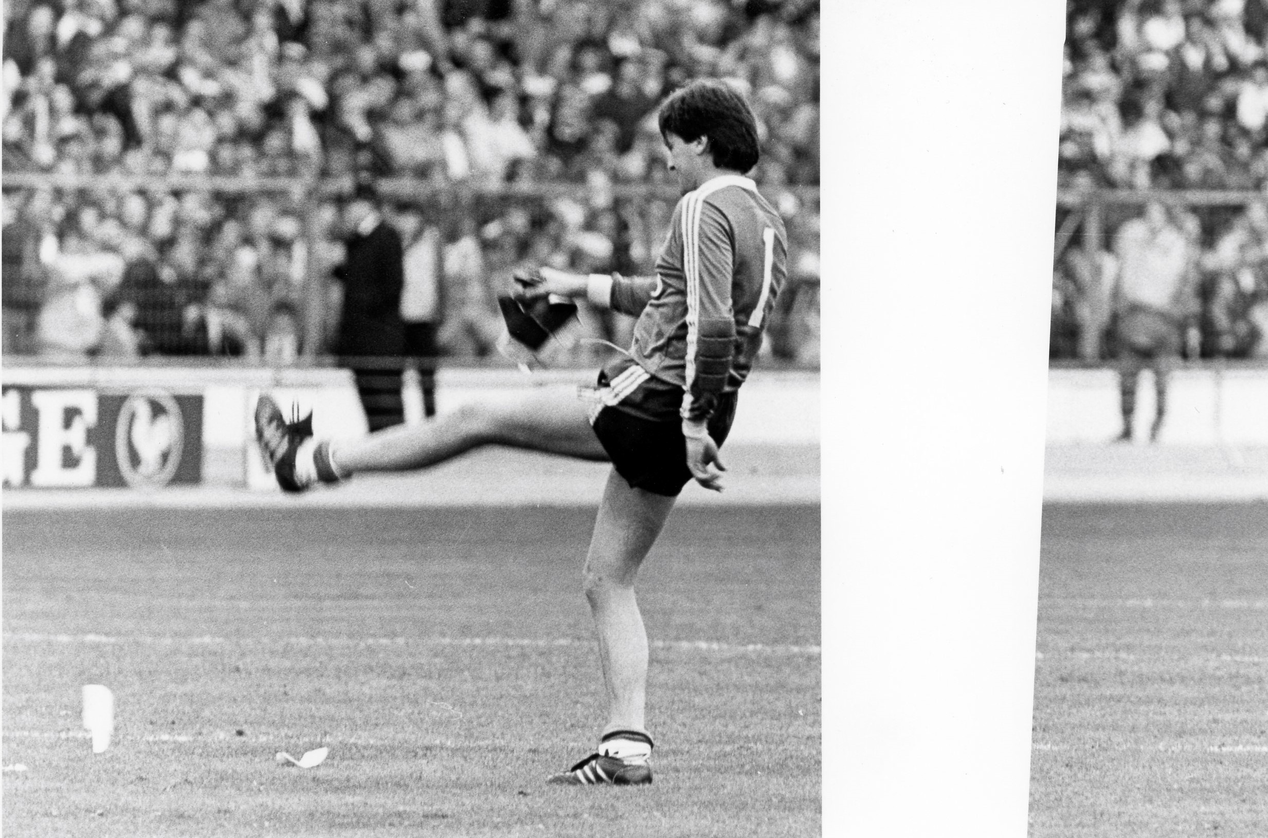 Les Sealey | Hatters Heritage | A History of Luton Town FC