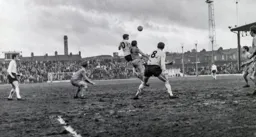 Tony Read | Hatters Heritage | A History of Luton Town FC