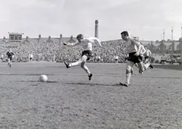 Ray Whittaker | Hatters Heritage | A History of Luton Town FC