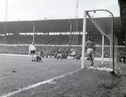 Ray Whittaker | Hatters Heritage | A History of Luton Town FC