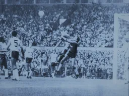 Les Sealey | Hatters Heritage | A History of Luton Town FC