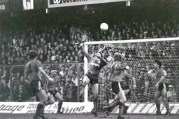 Les Sealey | Hatters Heritage | A History of Luton Town FC