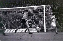 Les Sealey | Hatters Heritage | A History of Luton Town FC